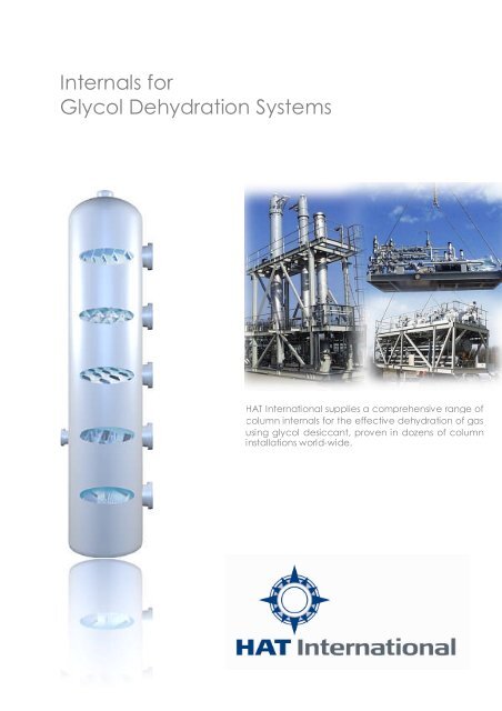 Internals for Glycol Dehydration Systems - HAT International Ltd