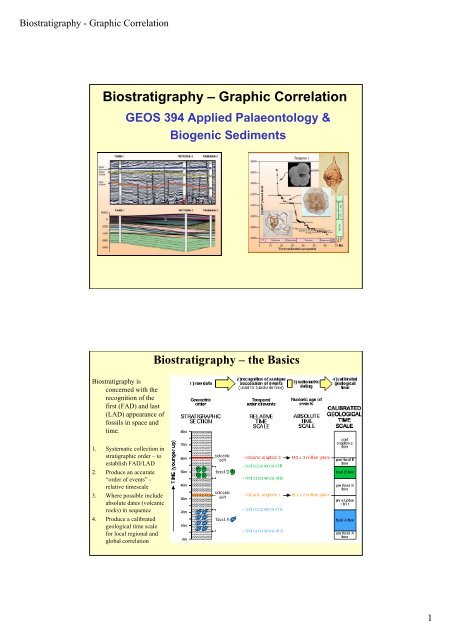 Biostratigraphy â Graphic Correlation