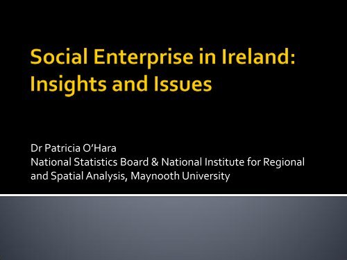 Social enterprise in Ireland: Insights and issues - Pobal