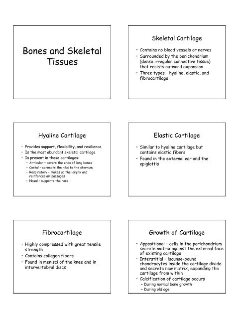 Bones & Skeletal Tissue Notes