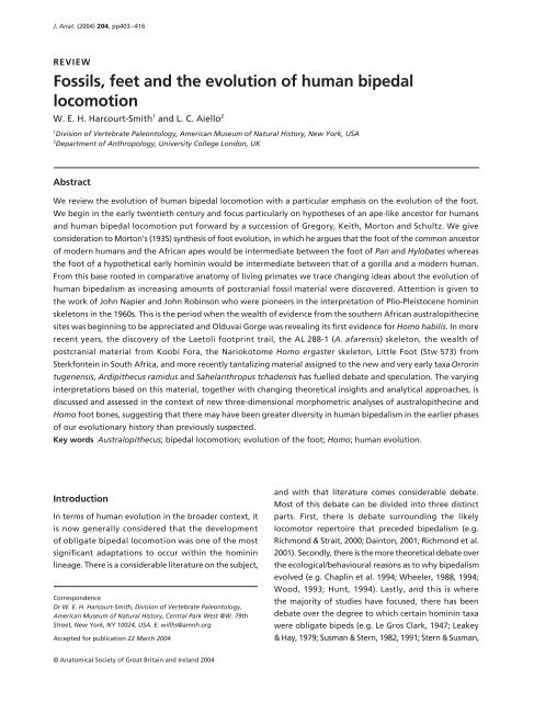 Fossils, feet and the evolution of human bipedal locomotion