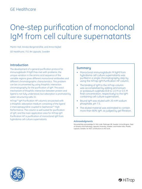 One-step purification of monoclonal IgM from cell - GE Healthcare ...