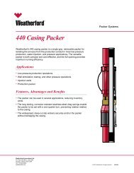 Specifications Arrowset IX, IX 10K, and IX HP Mechanical Packers