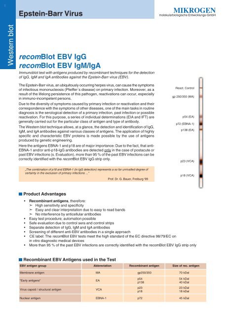 MIKROGEN recomBlot EBV IgG recomBlot EBV IgM/IgA Epstein ...