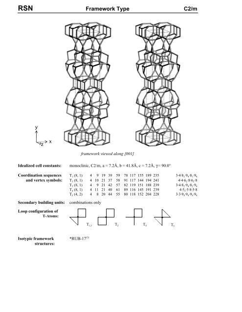 RSN Framework Type C2/m