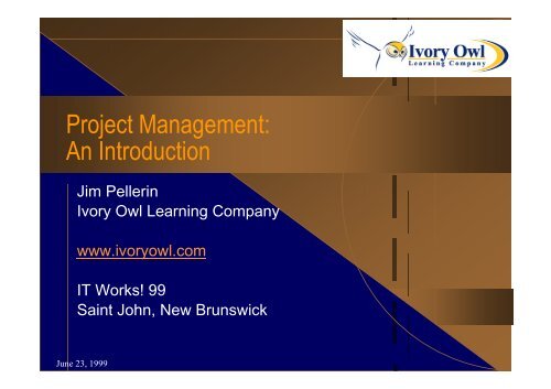 Project Management: An Introduction