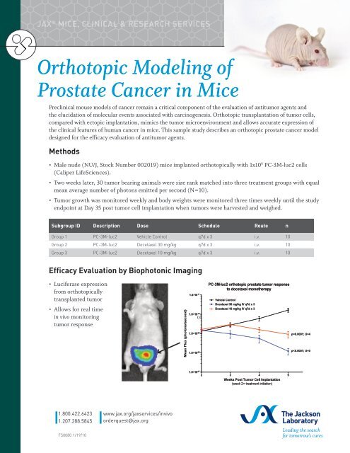 Orthotopic Modeling of Prostate Cancer in Mice - JAX Mice and ...
