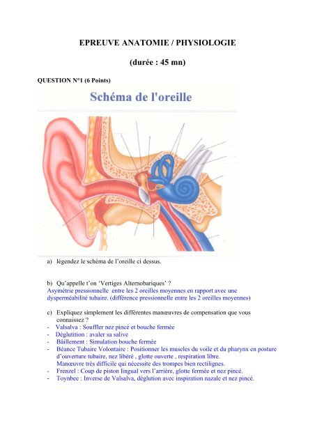 EPREUVE ANATOMIE / PHYSIOLOGIE (durée ... - Jacquet Stephan