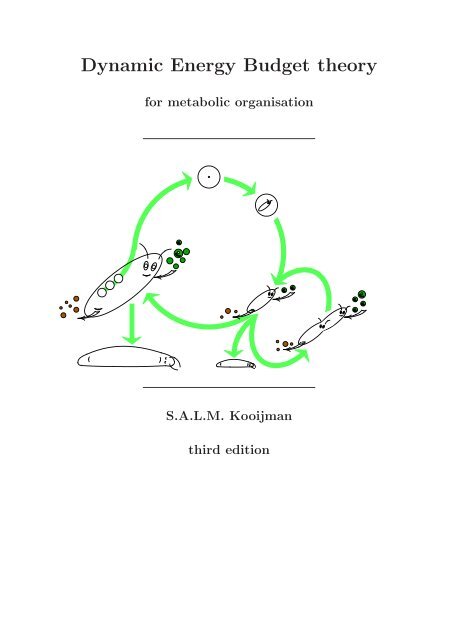 Dynamic Energy Budget theory