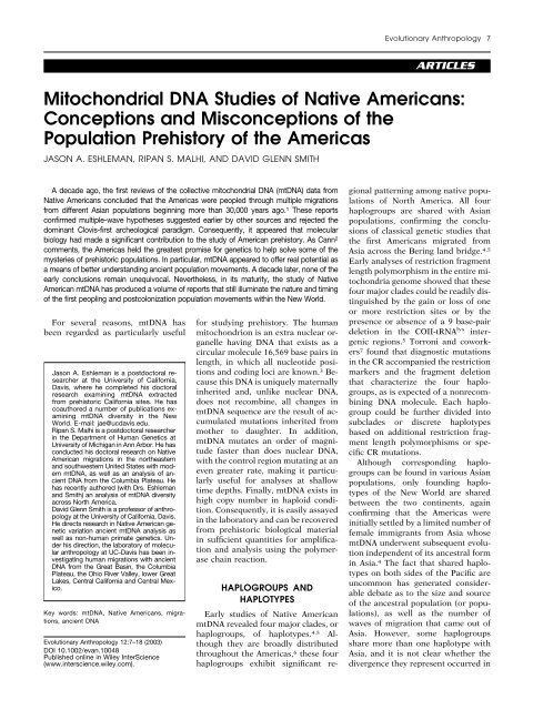 Mitochondrial DNA Studies of Native Americans: Conceptions and ...