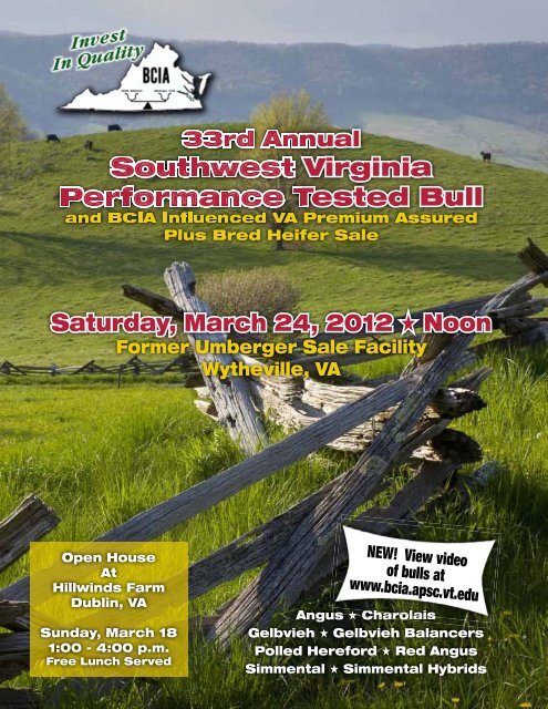 Southwest Virginia Performance Tested Bull - Virginia BCIA!