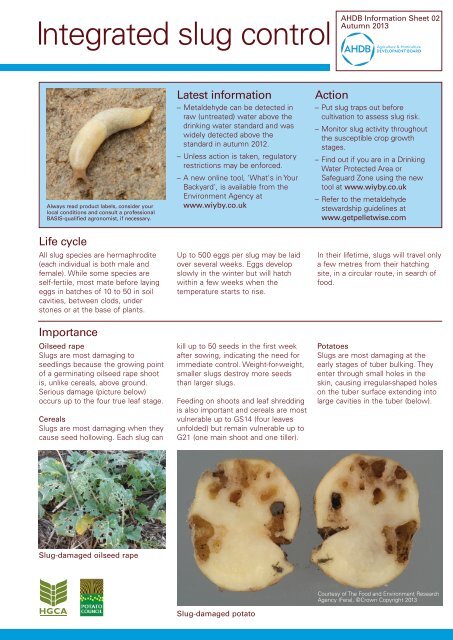Download: Integrated Slug Control - Potato Council