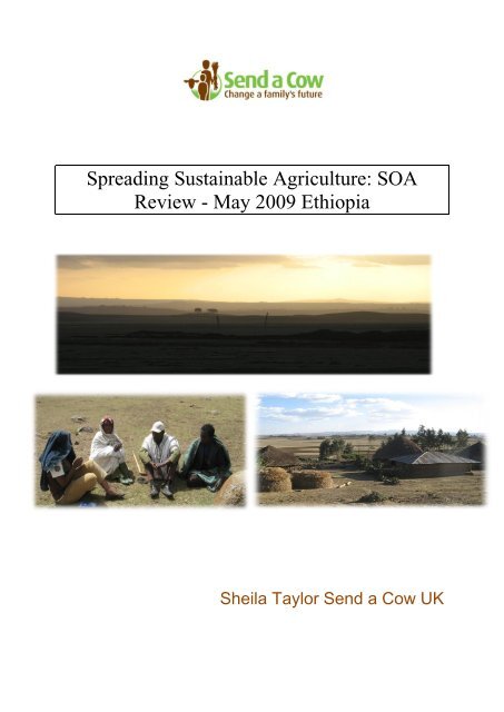 Ethiopia SOA Exec Sum.pdf - Send a Cow
