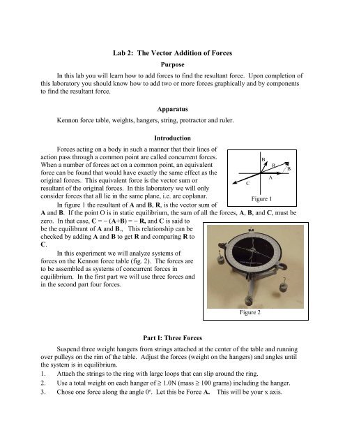 Lab 2 The Vector Addition Of Forces Physics