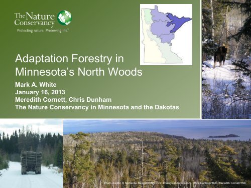 Adaptation Forestry in Minnesota's North Woods - University of ...