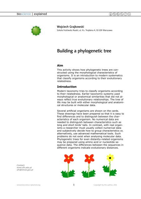 Building a phylogenetic tree - Bioscience Explained