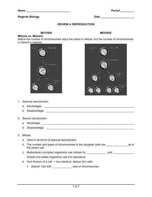 Review 4 -- Reproduction - Explore Biology