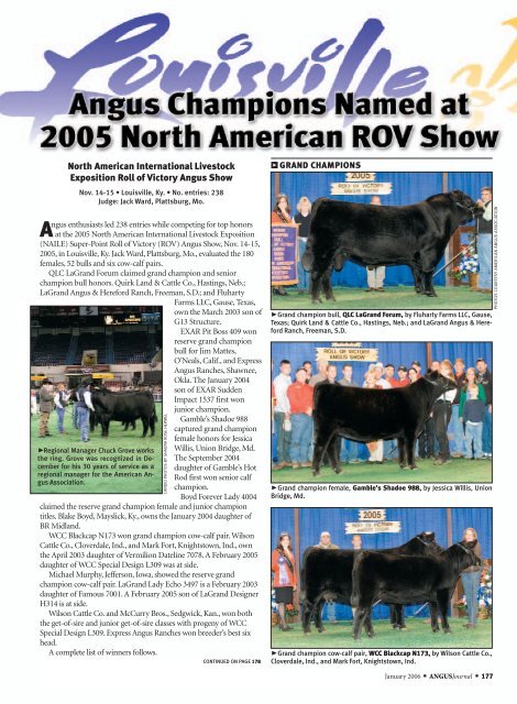 North American International Livestock Exposition ... - Angus Journal