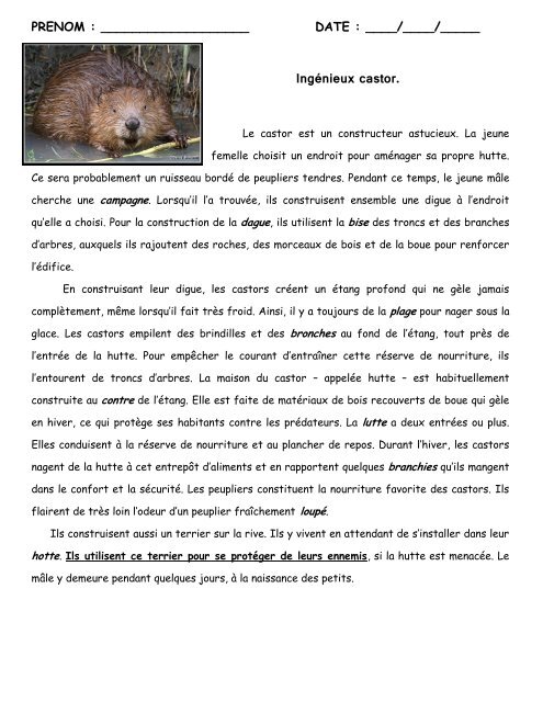 Lecture et comprÃ©hension: Le castor - Pass Education