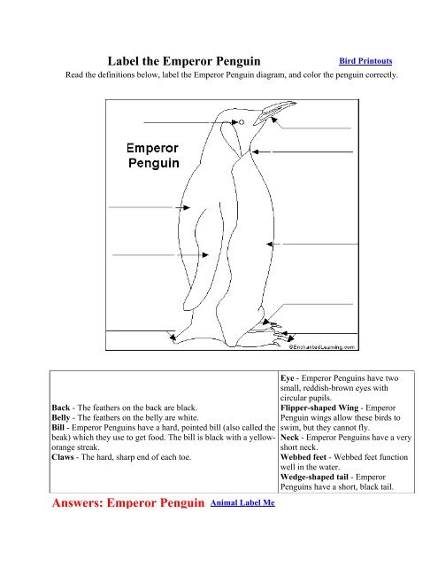 Penguin Flipper Diagram