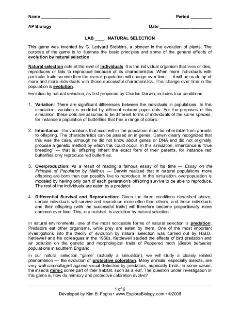 Natural Selection of Butterflies - Explore Biology