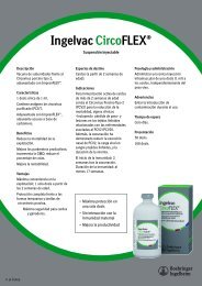 Descargar ficha de producto - Norvet