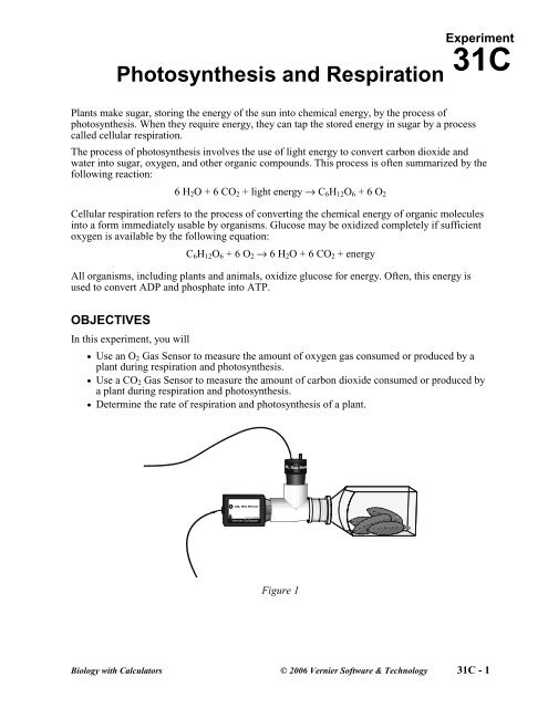 Photosynthesis and Respiration - Vernier Software & Technology