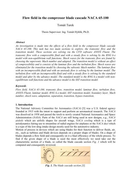 Flow field in the compressor blade cascade NACA 65-100