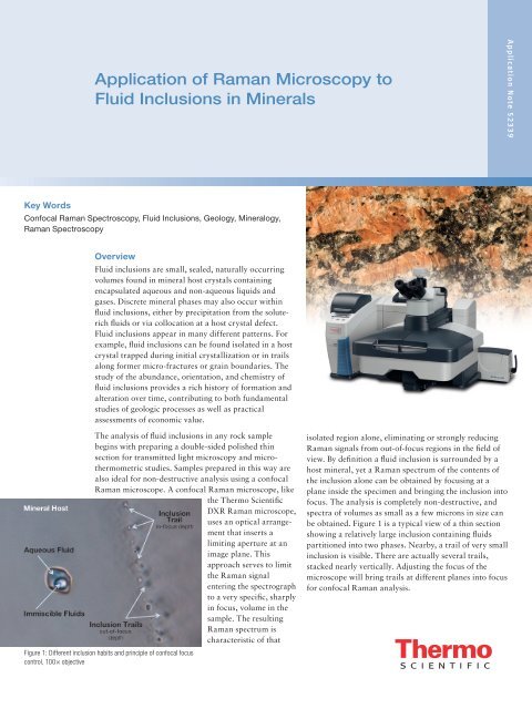 Application of Raman Microscopy to Fluid Inclusions in Minerals