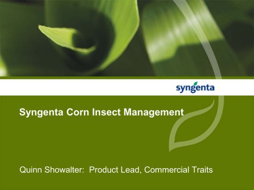 Syngenta Corn Insect Management