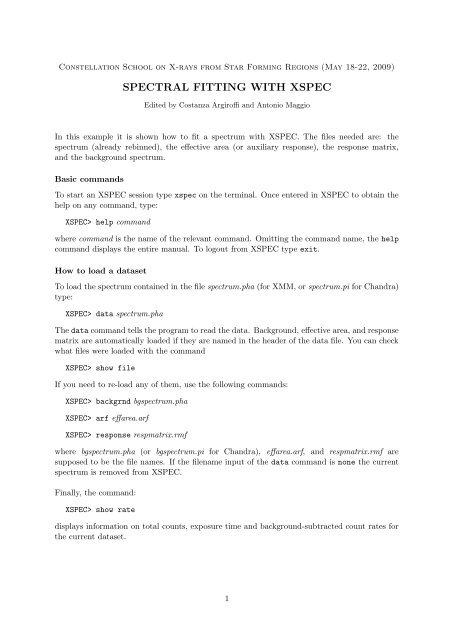 SPECTRAL FITTING WITH XSPEC