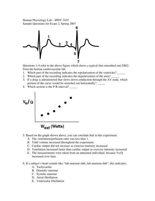 Human Physiology Lab â IPHY 3435 Sample Questions for Exam 2 ...
