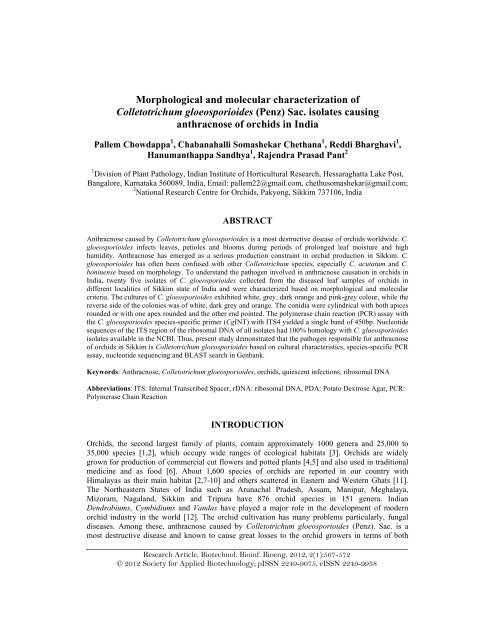 Morphological and molecular characterization of Colletotrichum ... Morphological and molecular characterization of Colletotrichum ...