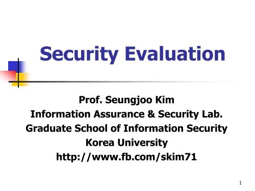 6. Security Evaluation (.pdf)