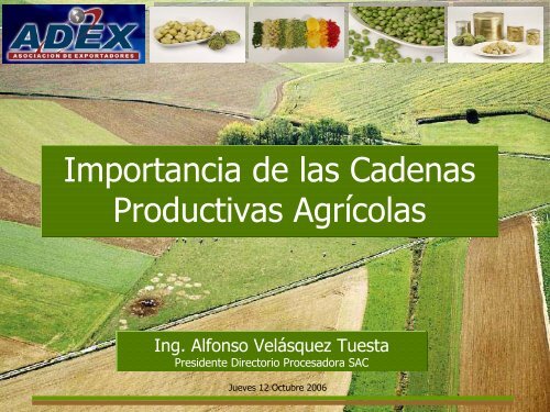 Importancia de las Cadenas Productivas AgrÃ­colas - Desarrollo ...