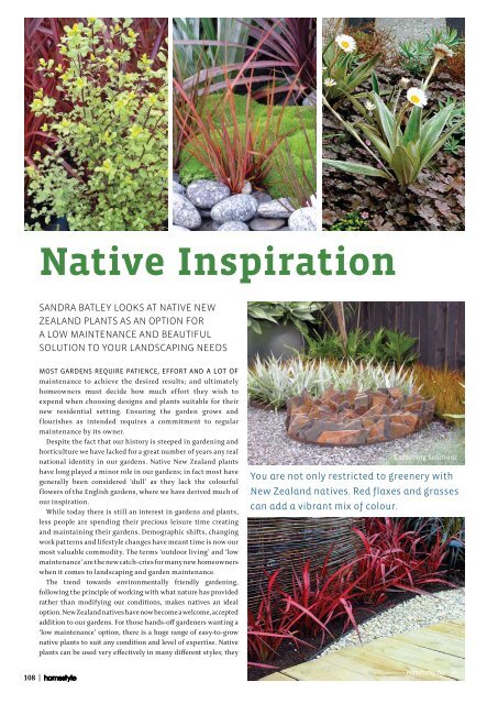 Native Inspiration