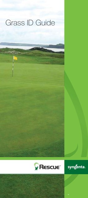 Grass ID Guide - GreenCast