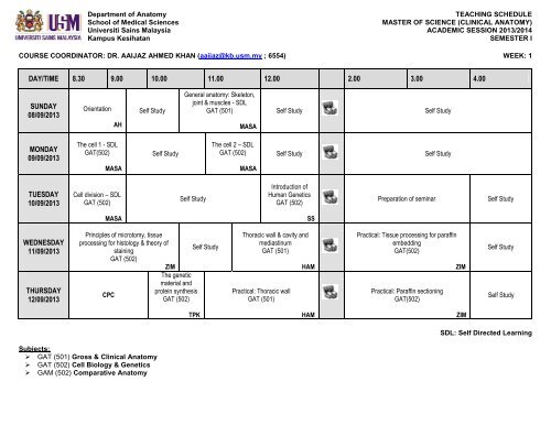 Clinical Anatomy - USM
