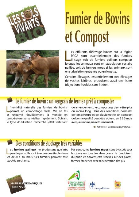 Compost De Fumier De Bovins – Fumier De Bovin Pur – OHYDHC