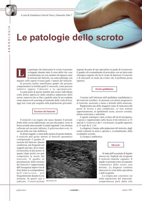Le patologie dello scroto