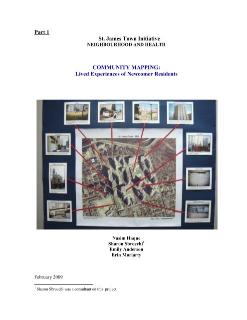 SJT Initiative's Community Mapping Report Part I - Wellesley Institute