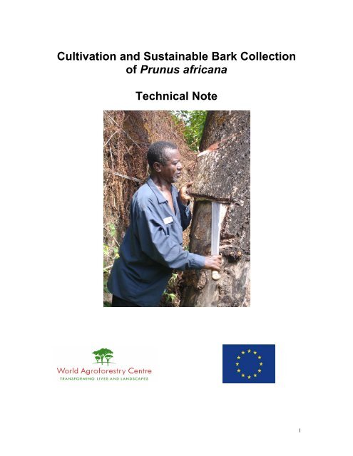 Cultivation and Sustainable Bark Collection of Prunus africana ...