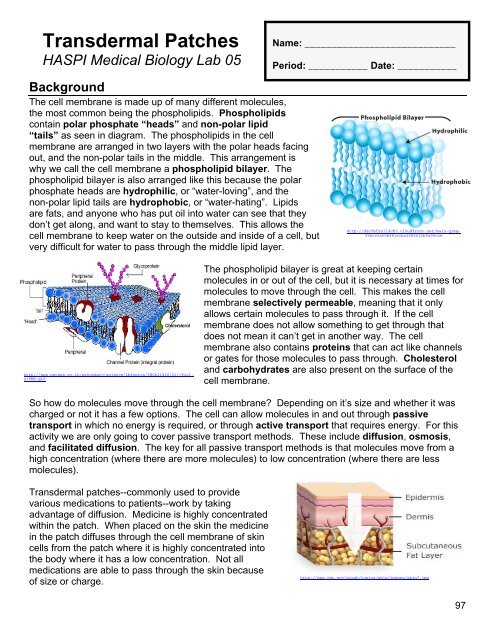 06 Transdermal Patches - Student.pdf - haspi