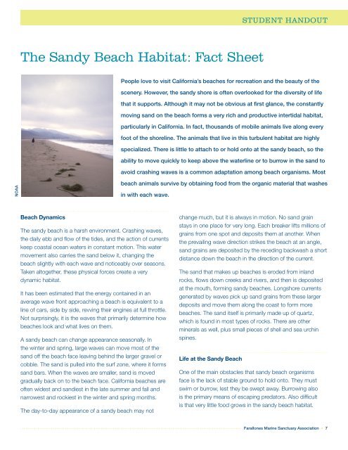 the Sandy Beach habitat: fact Sheet - LiMPETS