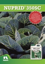 Broadstrike Herbicide label - Pest Genie