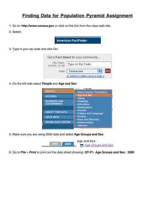 Population Pyramid Construction Directions - SCS Home Page