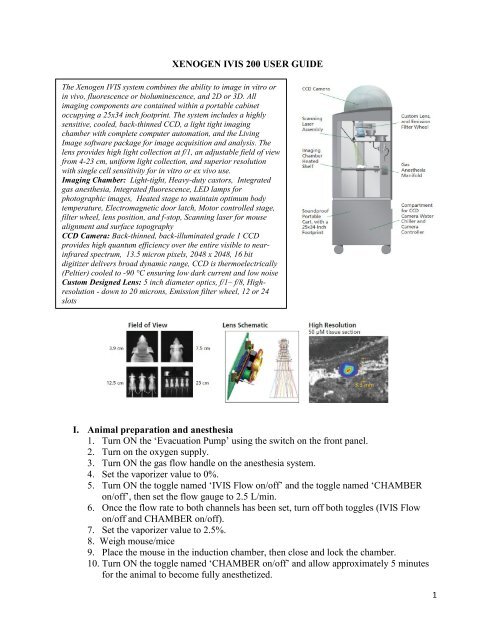 XENOGEN IVIS 200 USER GUIDE I. Animal preparation and ...