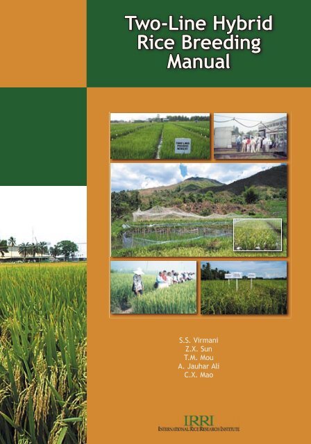 Two-Line Hybrid Rice Breeding Manual - Rice Knowledge Bank ...