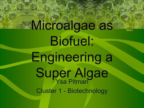 Microalgae as Biofuel: Engineering a Super Algae - COSMOS