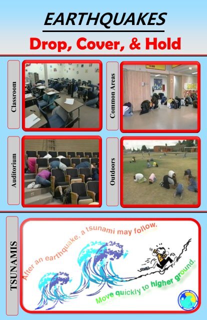 Poster: Earthquake/Tsunami